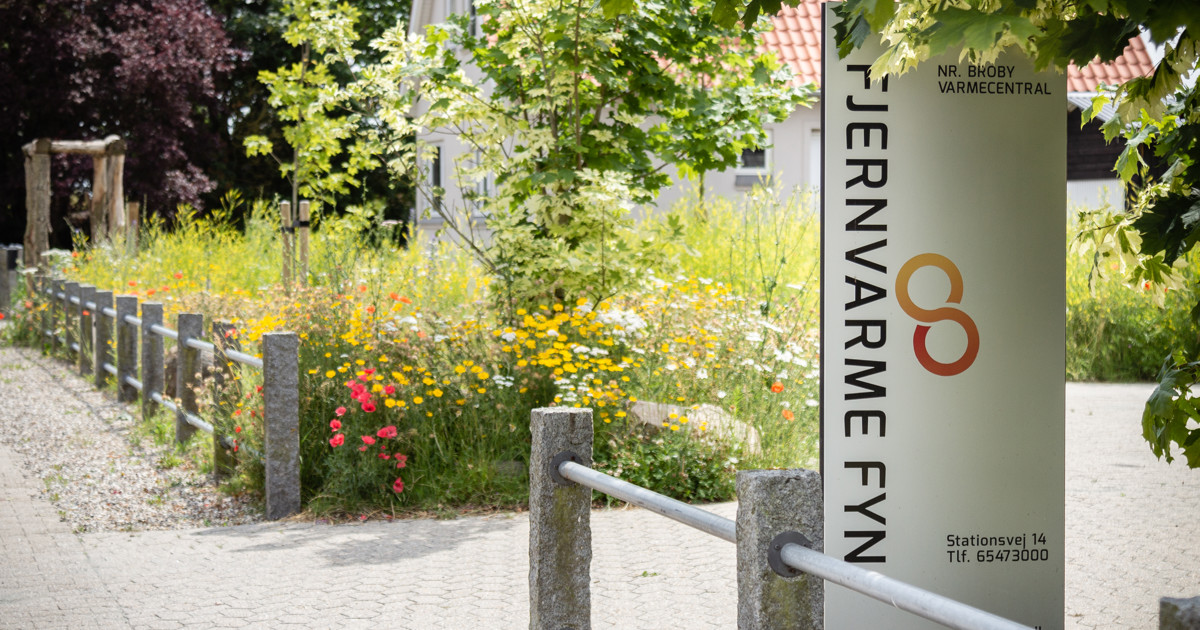 Fjernvarme Fyn er blevet vild | DanskFjernvarme