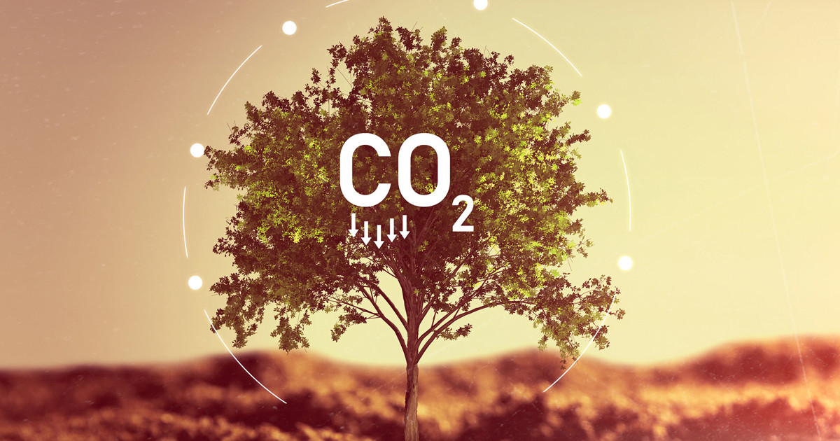 CO2-fangst bliver modarbejdet af lovforslag | DanskFjernvarme